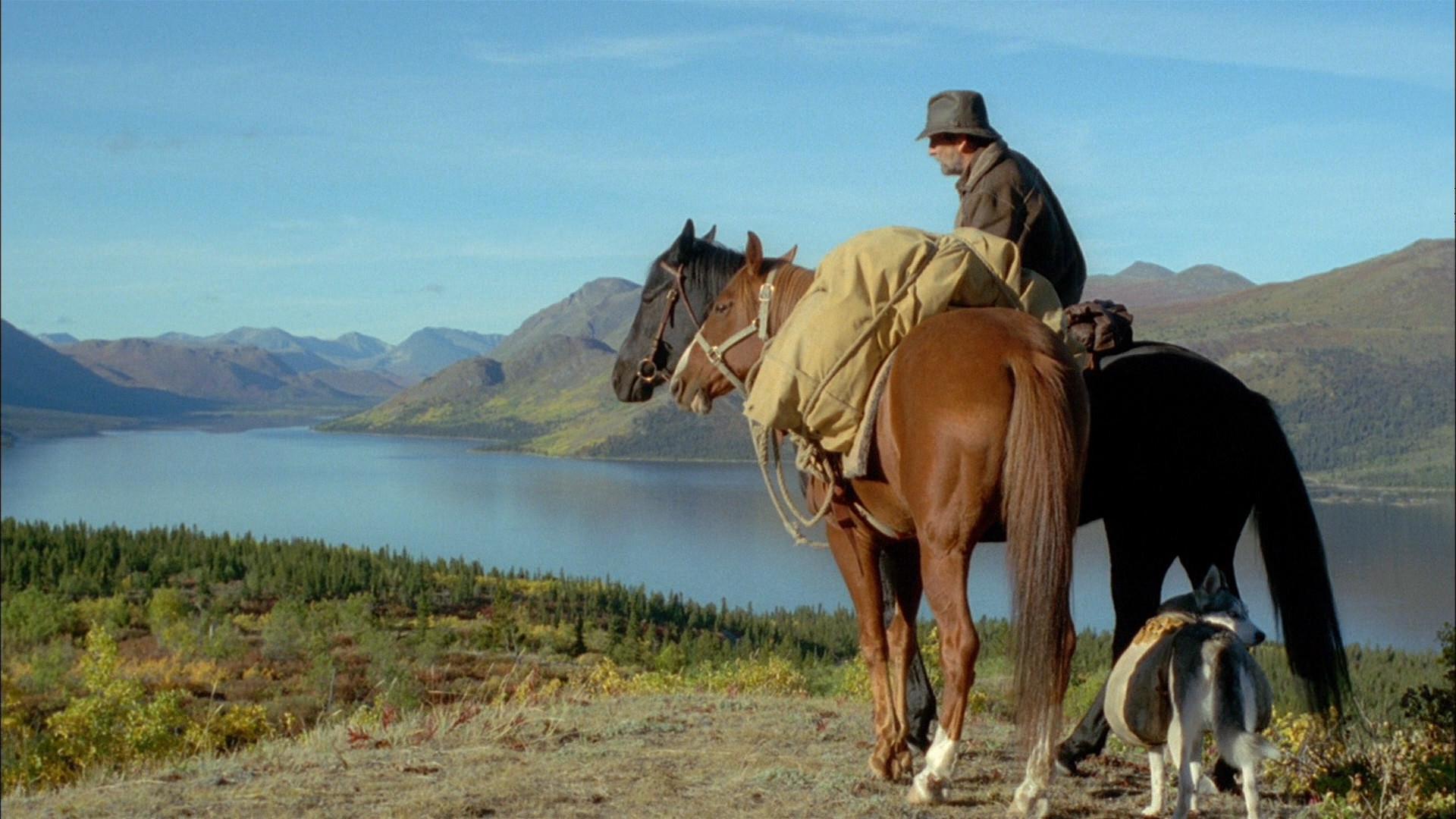 Stage « Trappeur » 25/08/14 - La Gatte d'Or La Gatte d'Or - propose des ...